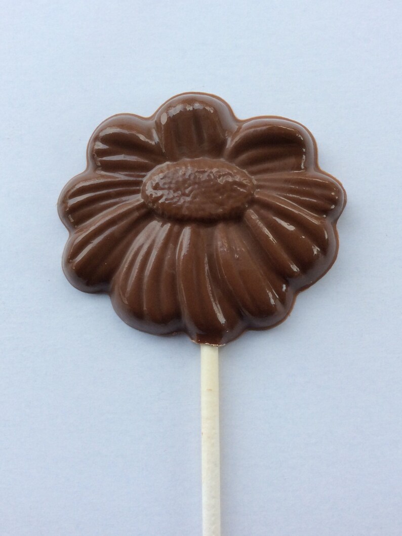 12 Daisy Chocolate Pops Chocolate Daisy Favors Chocolate Daisy - Etsy