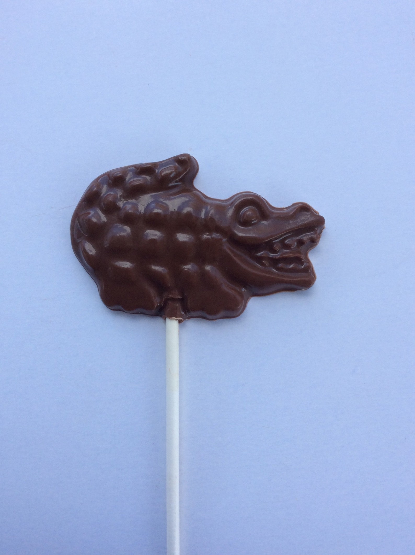 12 Chocolate Alligator Pops Alligator Candy Chocolate | Etsy