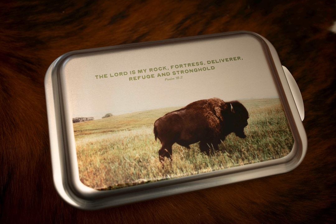Buffalo Bison Cake Pan Nordic Ware 9"x13" Custom - Etsy