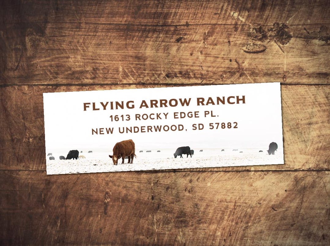 Cattle Ranch Return Address Labels, Grazing Cows, Angus Cows, Custom ...