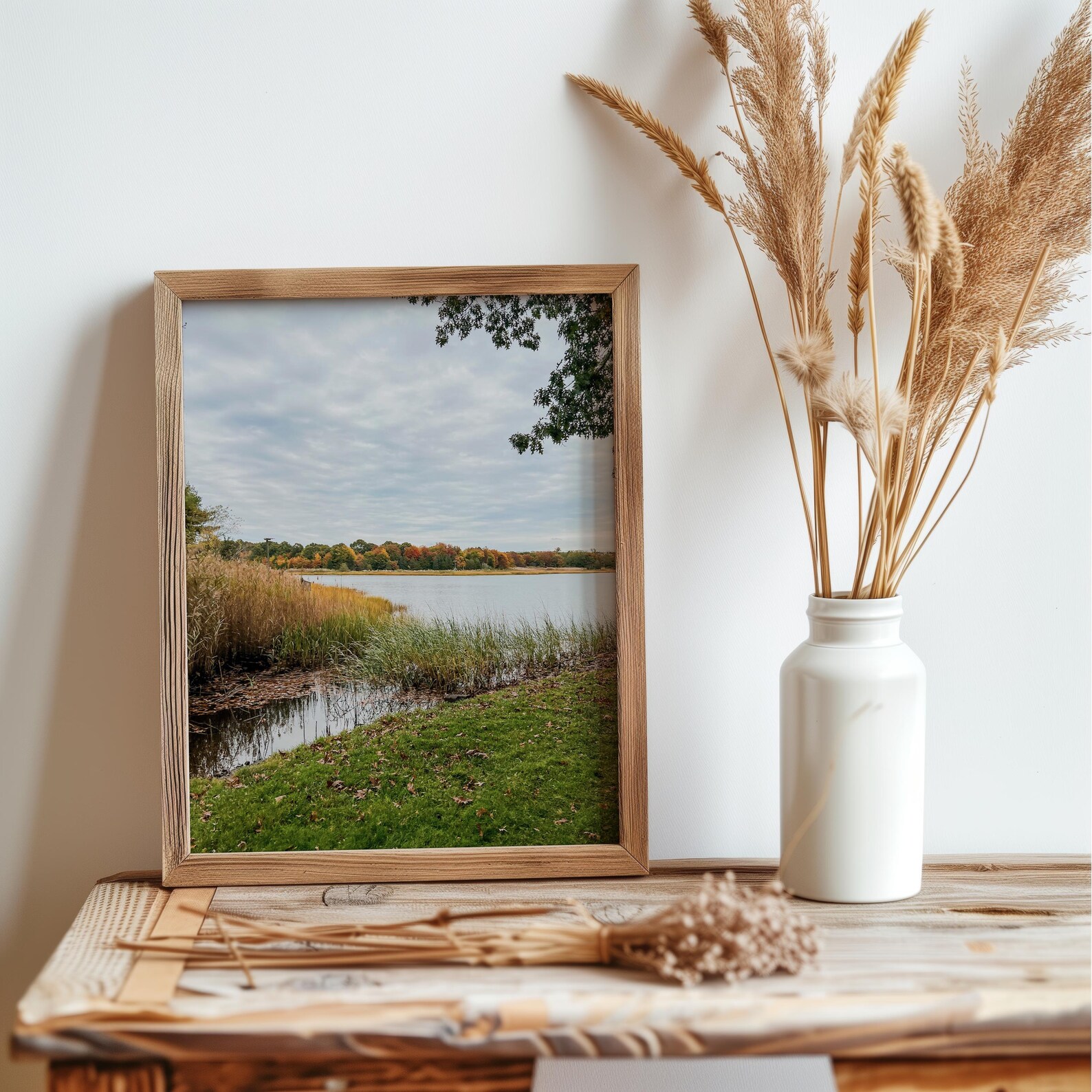 Autumn Tree Line Across Coles River Massachusetts Photograph Fall ...