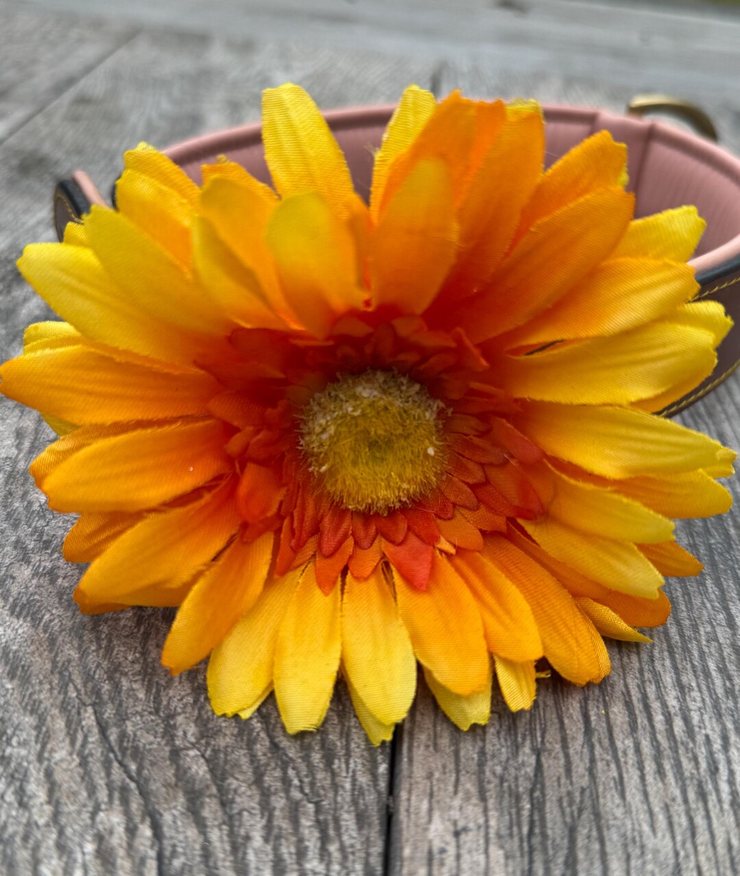Dog Flower Collar Attachment Dog Accessory - Etsy