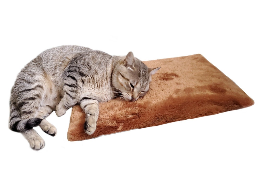 Launch Pad - Herb-infused Furry Mat for Cat Naps - Etsy