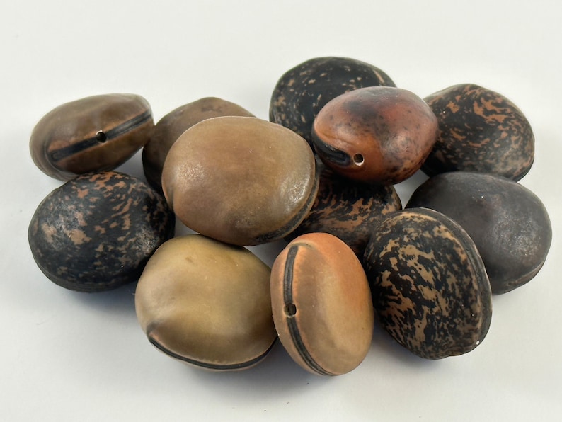 Sea Beans From Kauai Hawaii, Pre-drilled Beads - Hamburger Sea Bean ...