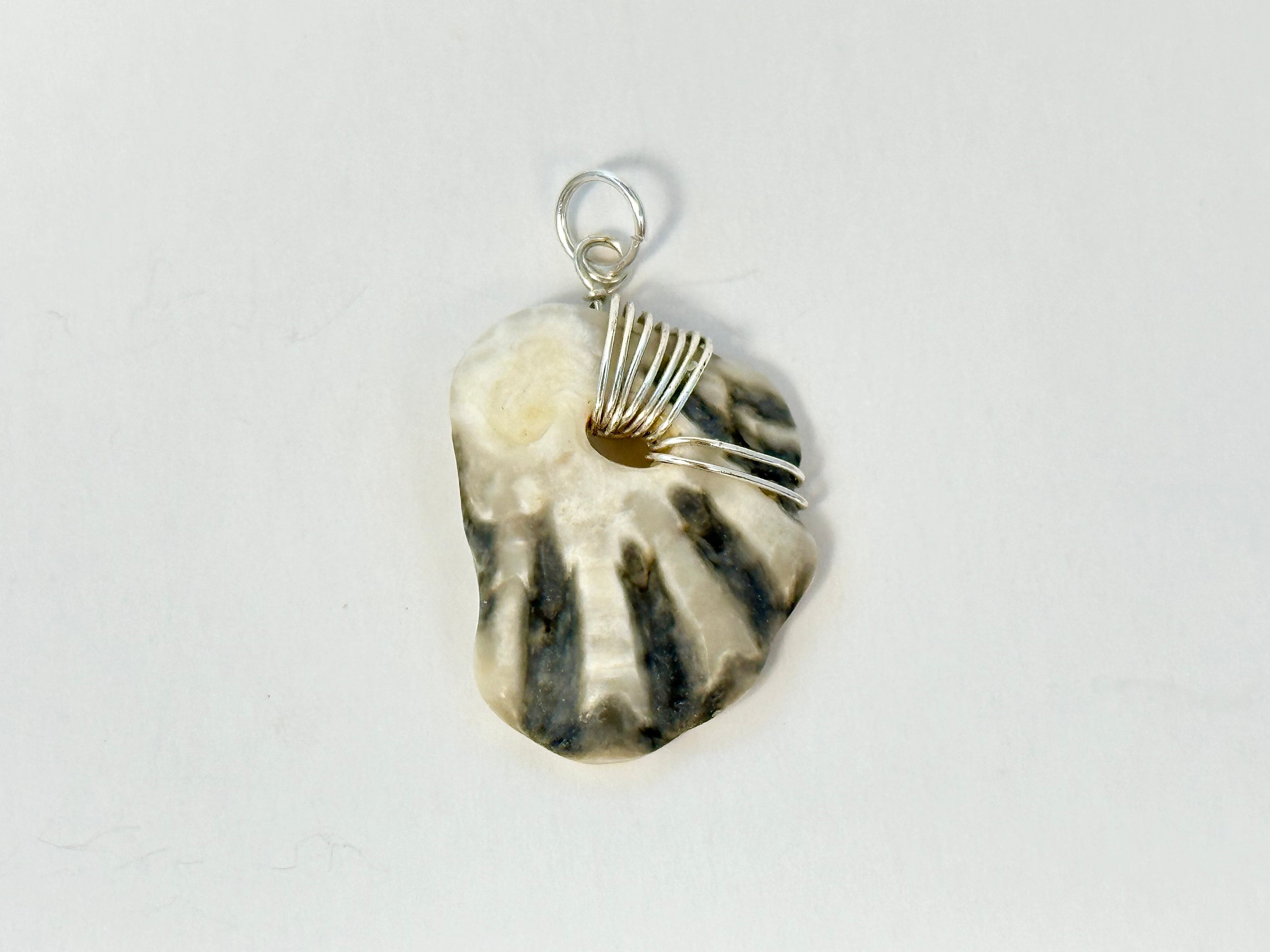 Wire Wrapped Black and White Cat Paw Kitten Paw Shell Pendant ...