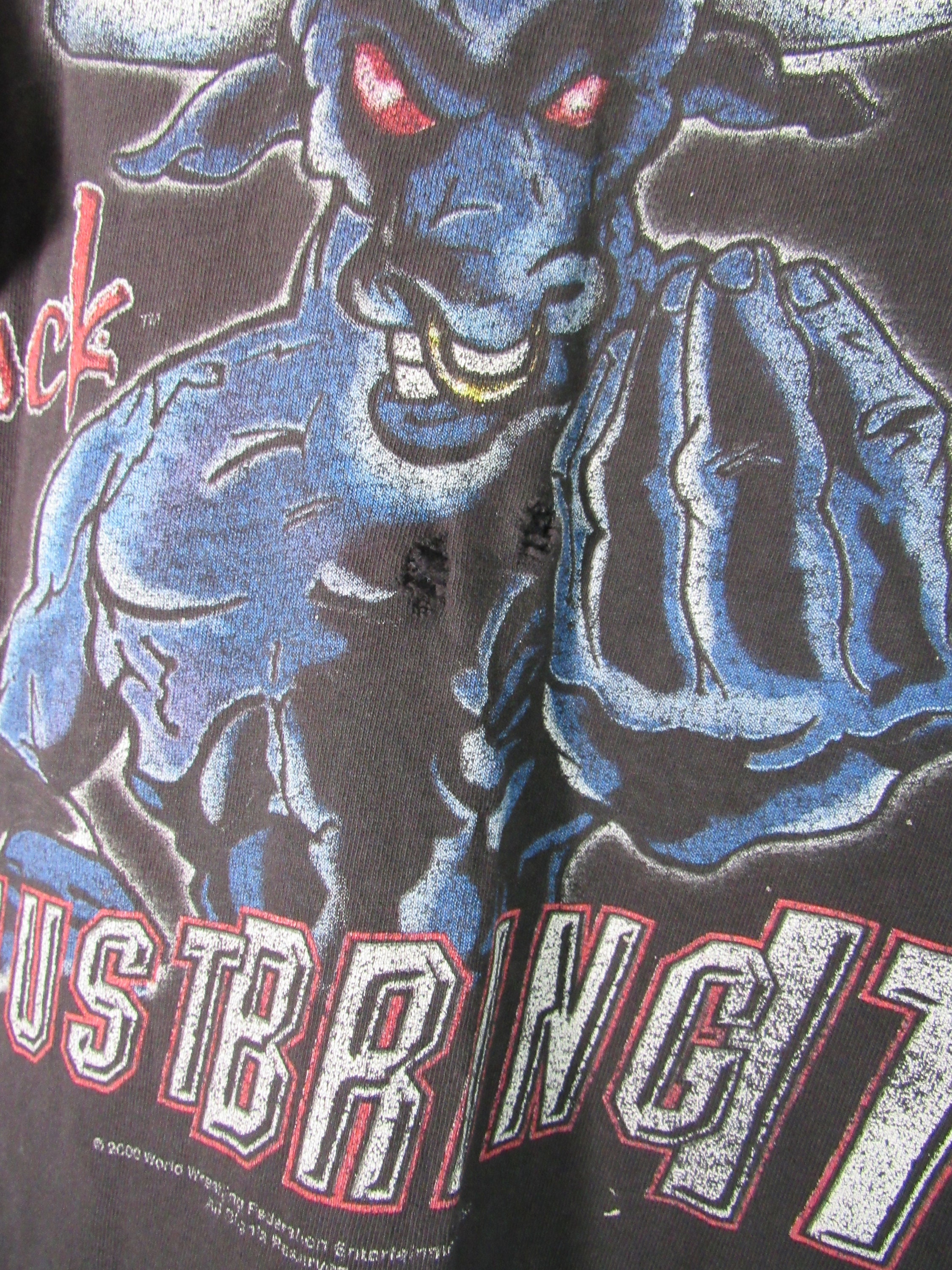 Vintage Y2K 2000 the Rock Just Bring It / Know Your Role WWF - Etsy