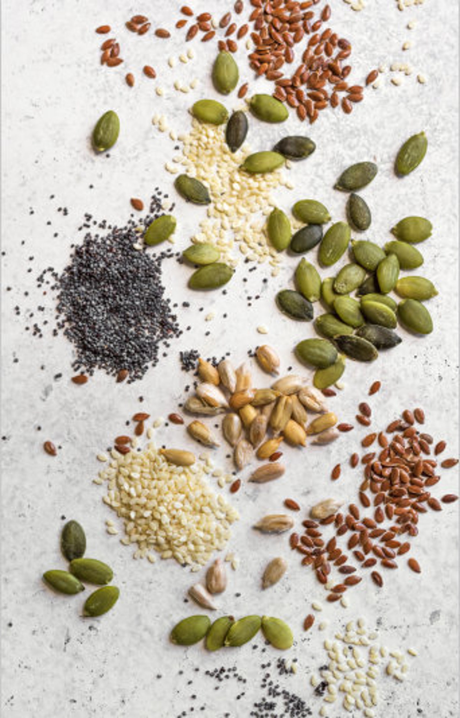 Soaked & Sprouted Seed 101 - A Comprehensive Guide to Sprouting for ...