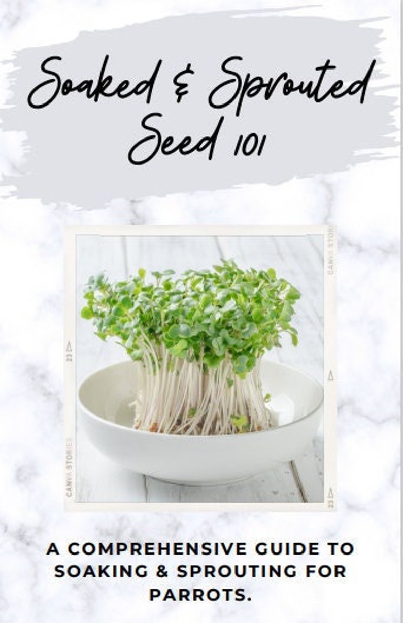 Soaked & Sprouted Seed 101 - A Comprehensive Guide to Sprouting for Parrots. E-book Parrots ...