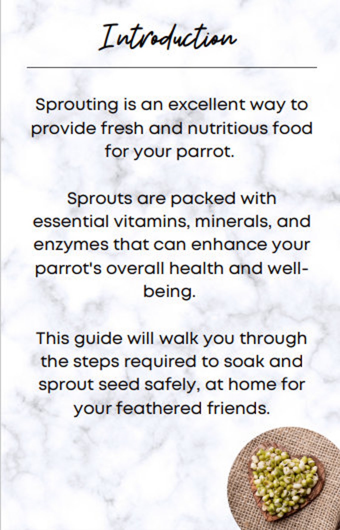 Soaked & Sprouted Seed 101 - A Comprehensive Guide to Sprouting for ...