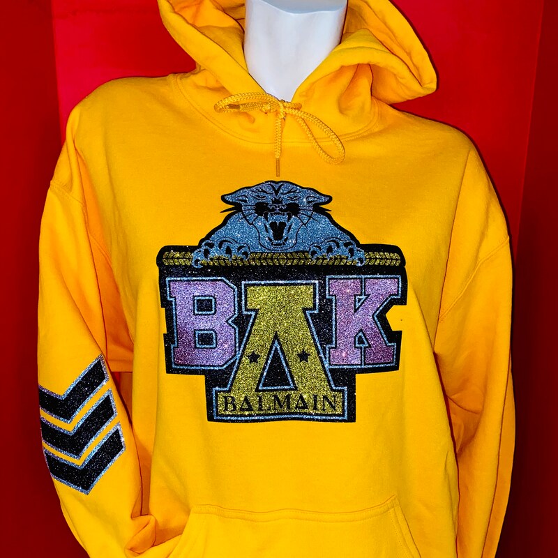 Beychella Hoodie - Etsy