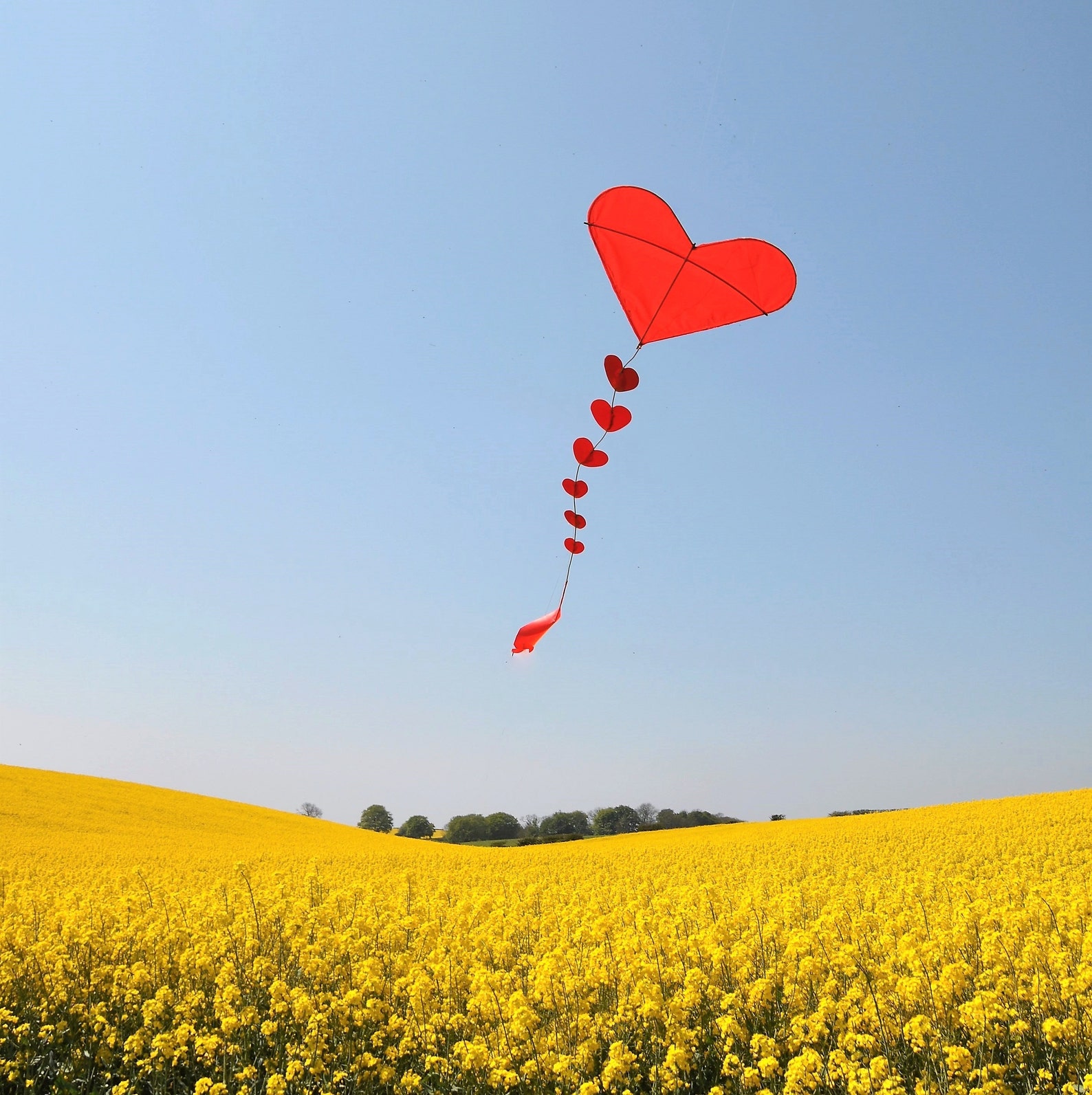 Heart Kite Art Cards Flying Kite Card Heartycards Heart Birthday Kite ...