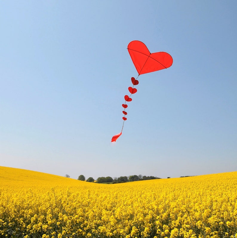 Heart Kite Art Cards Flying Kite Card Heartycards Heart Birthday Kite ...