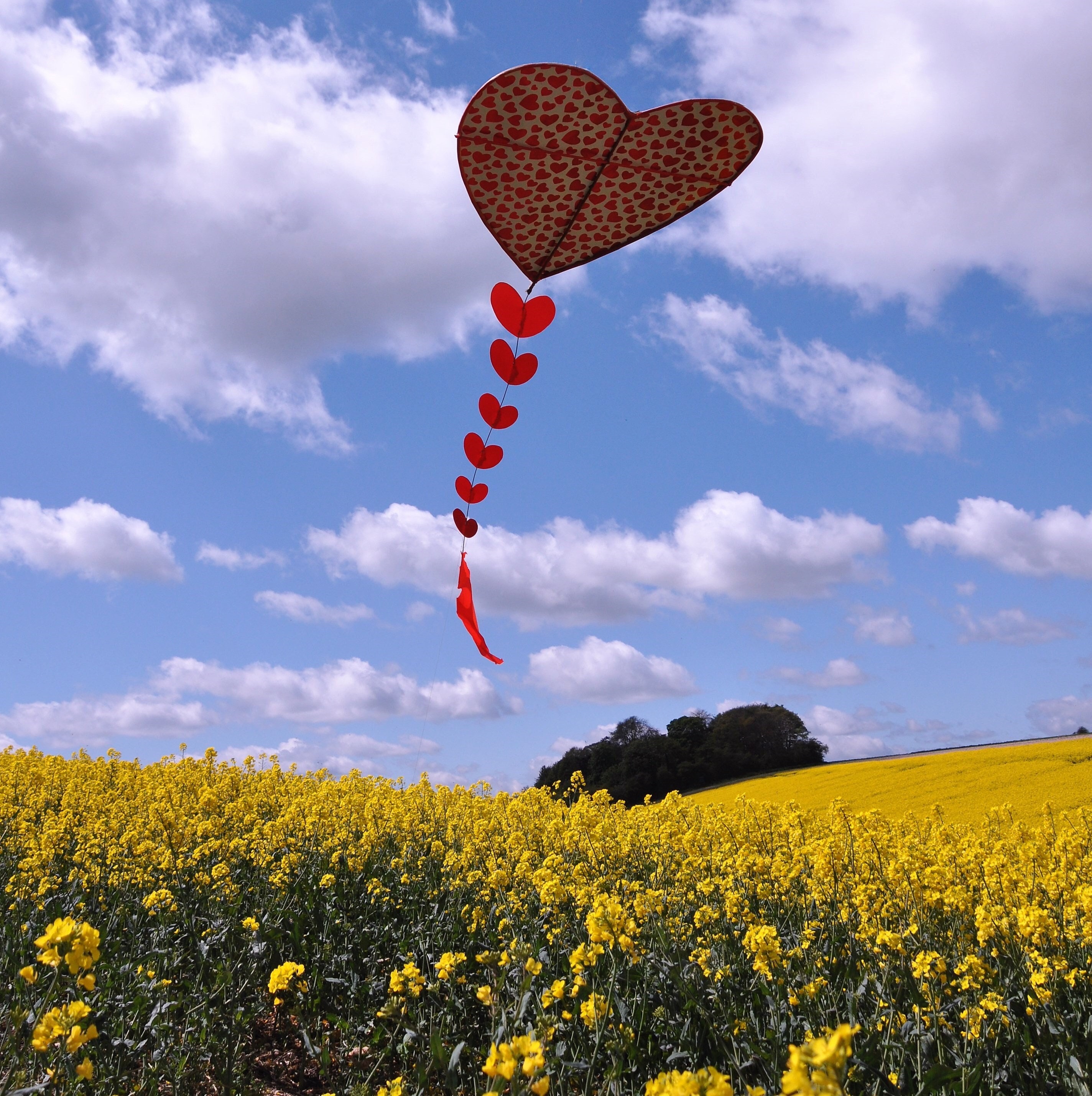Kite Heart Card | Flying Kite Card | Heartycards | Heart Birthday Kite ...