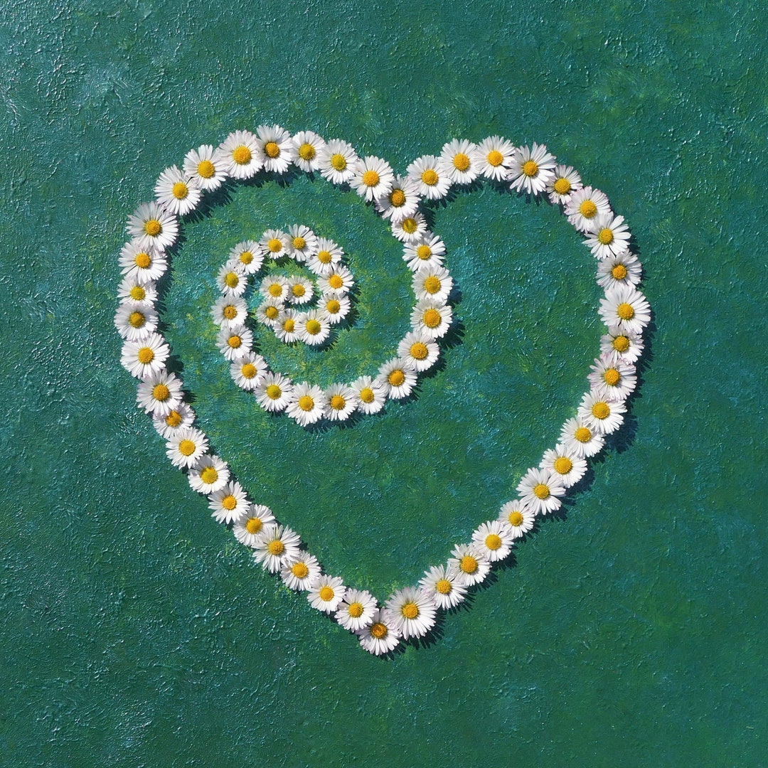 Daisy Heart Cards Daisy Heart Photo Card Heartycards Flower Heart Card ...