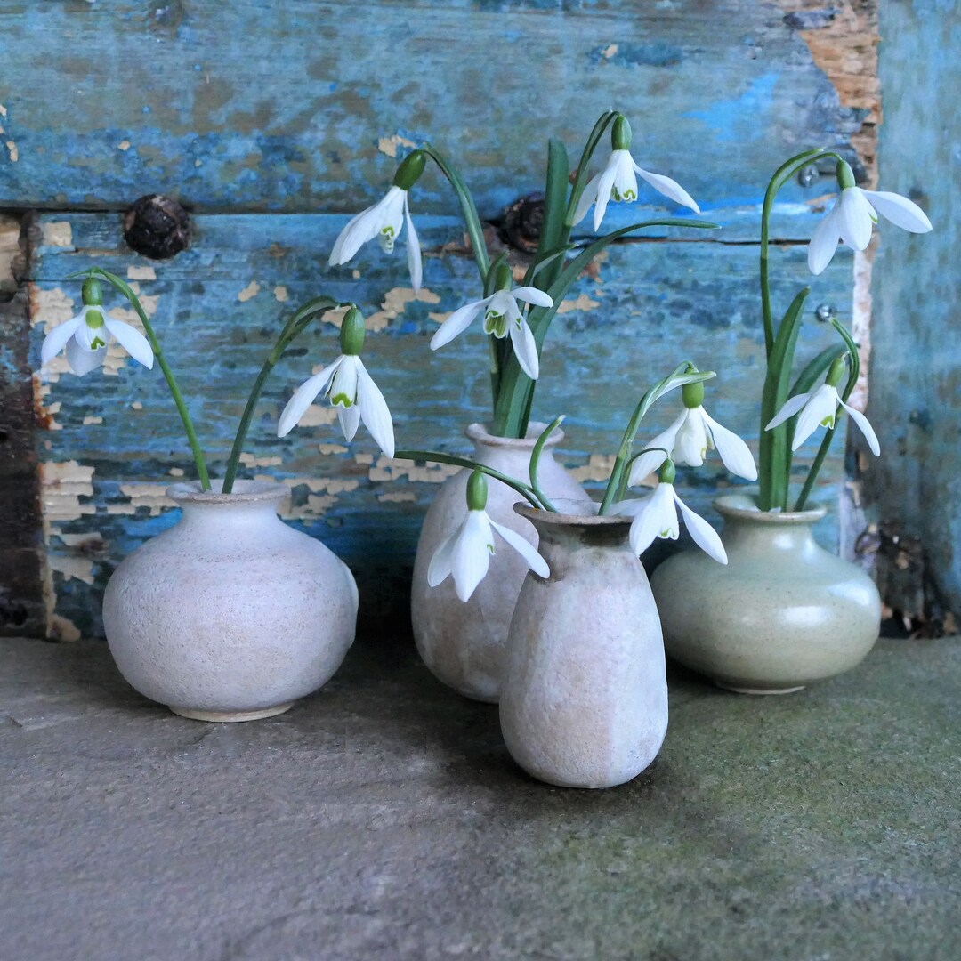 Snowdrop Cards Spring Flowers Vase Art Card Snowdrop Art Card ...