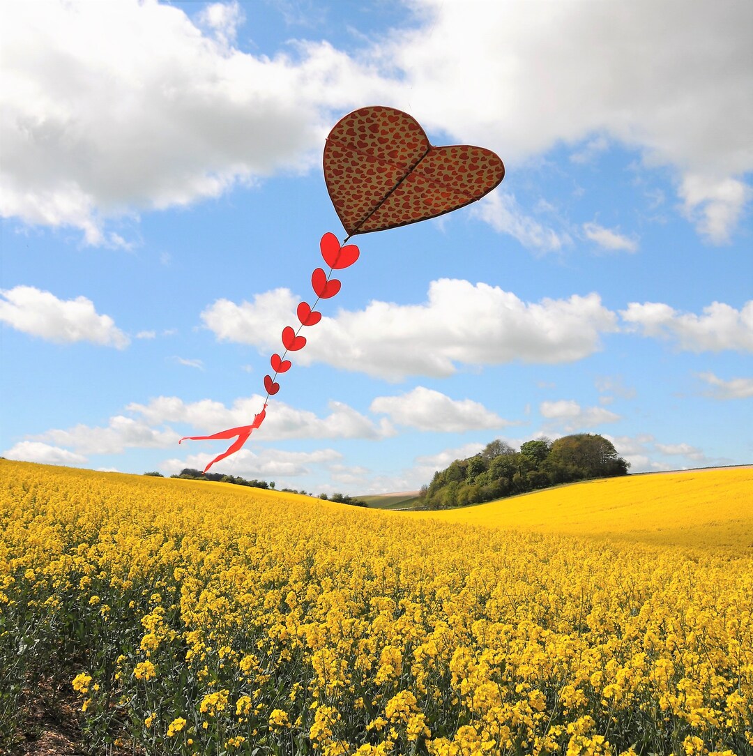 Kite Heart Photo Card | Flying Kite Card | Heartycards | Heart Birthday ...
