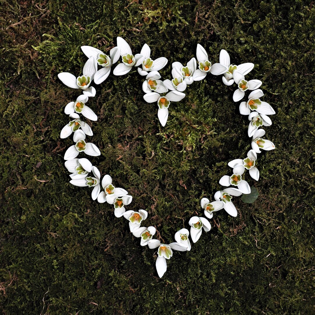 Snowdrop Heart Photo Card | Love You Snowdrop Card | Flower Heart ...