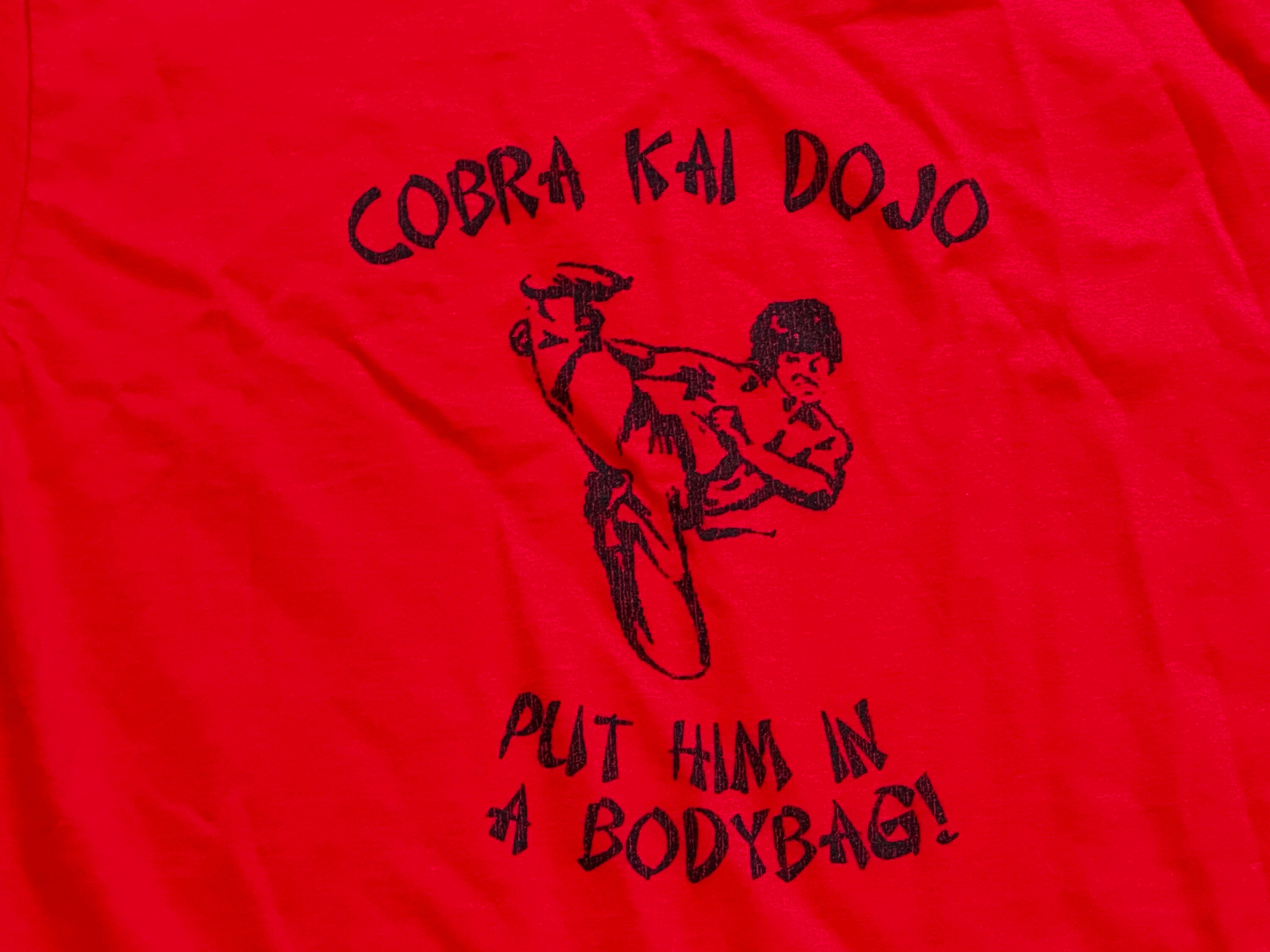 Vintage Inspired Cobra Kai Dojo Red American Apparel 2001 T-shirt - Etsy