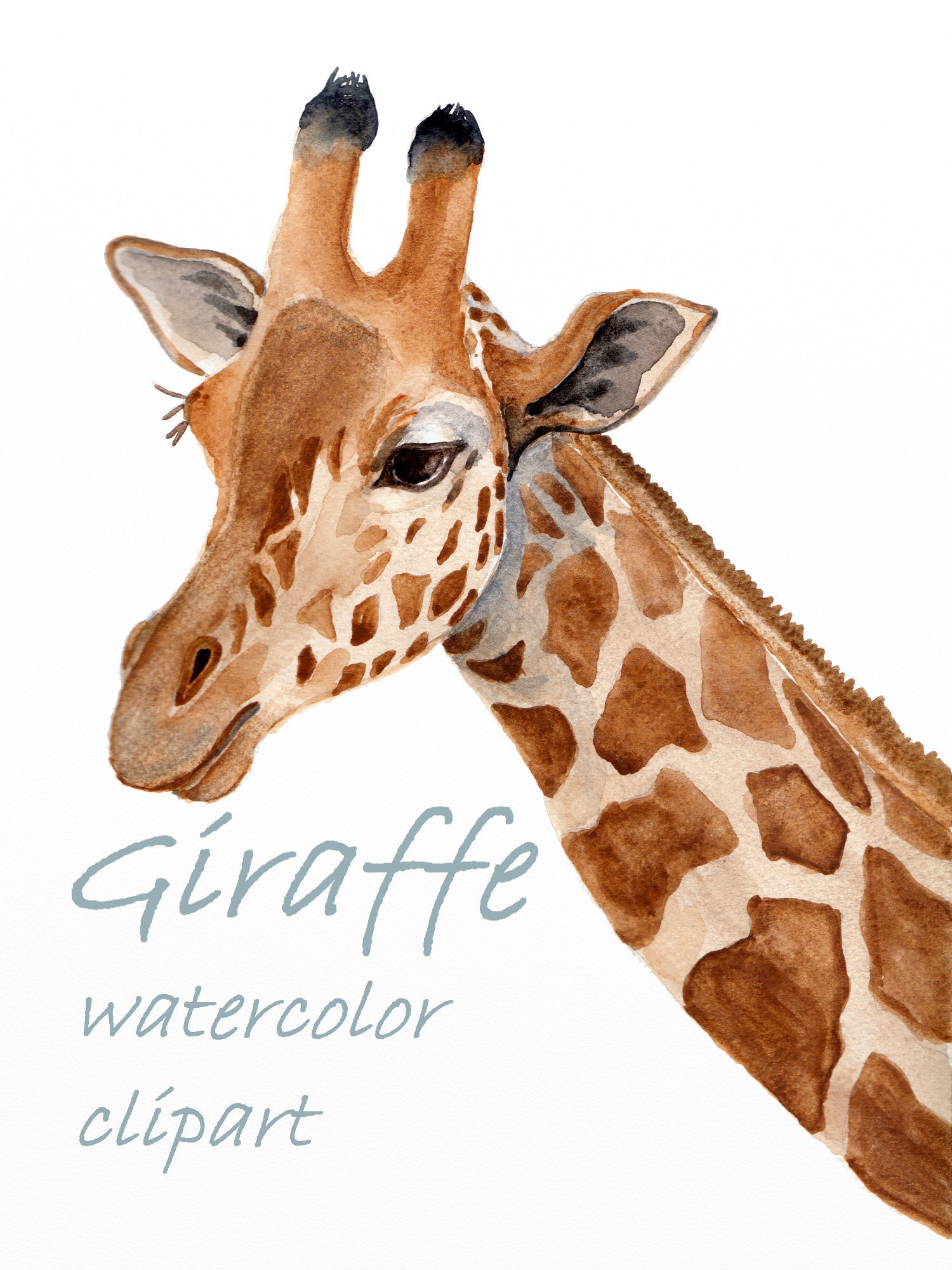 Watercolor Giraffe