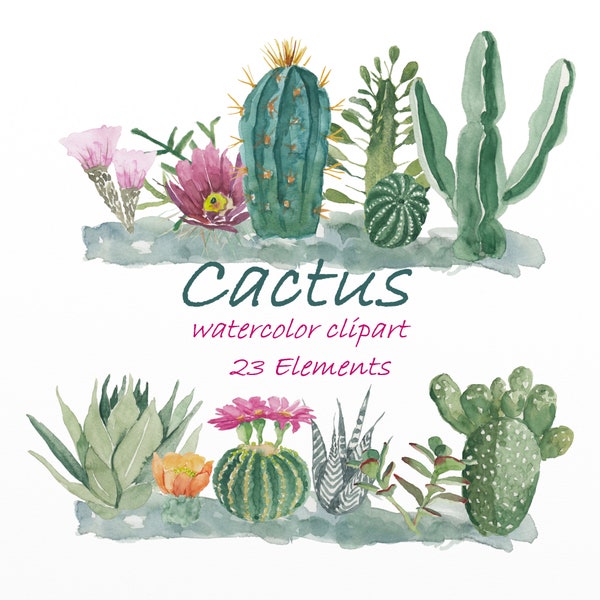 Cactus Watercolor - Etsy