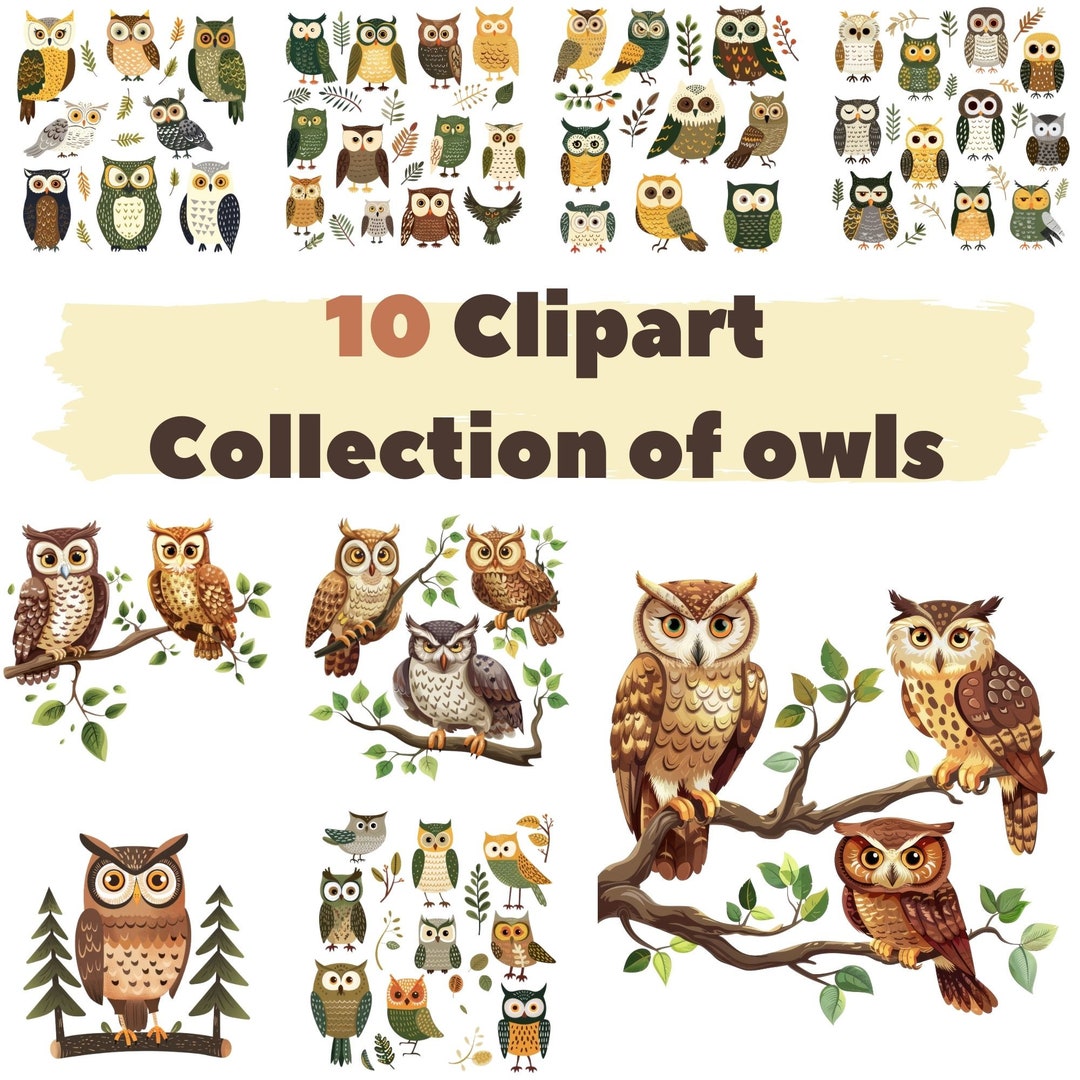 Owl. Collection of Owls, Clipart, 10 PNG Files, Owl on a Branch, Set of ...