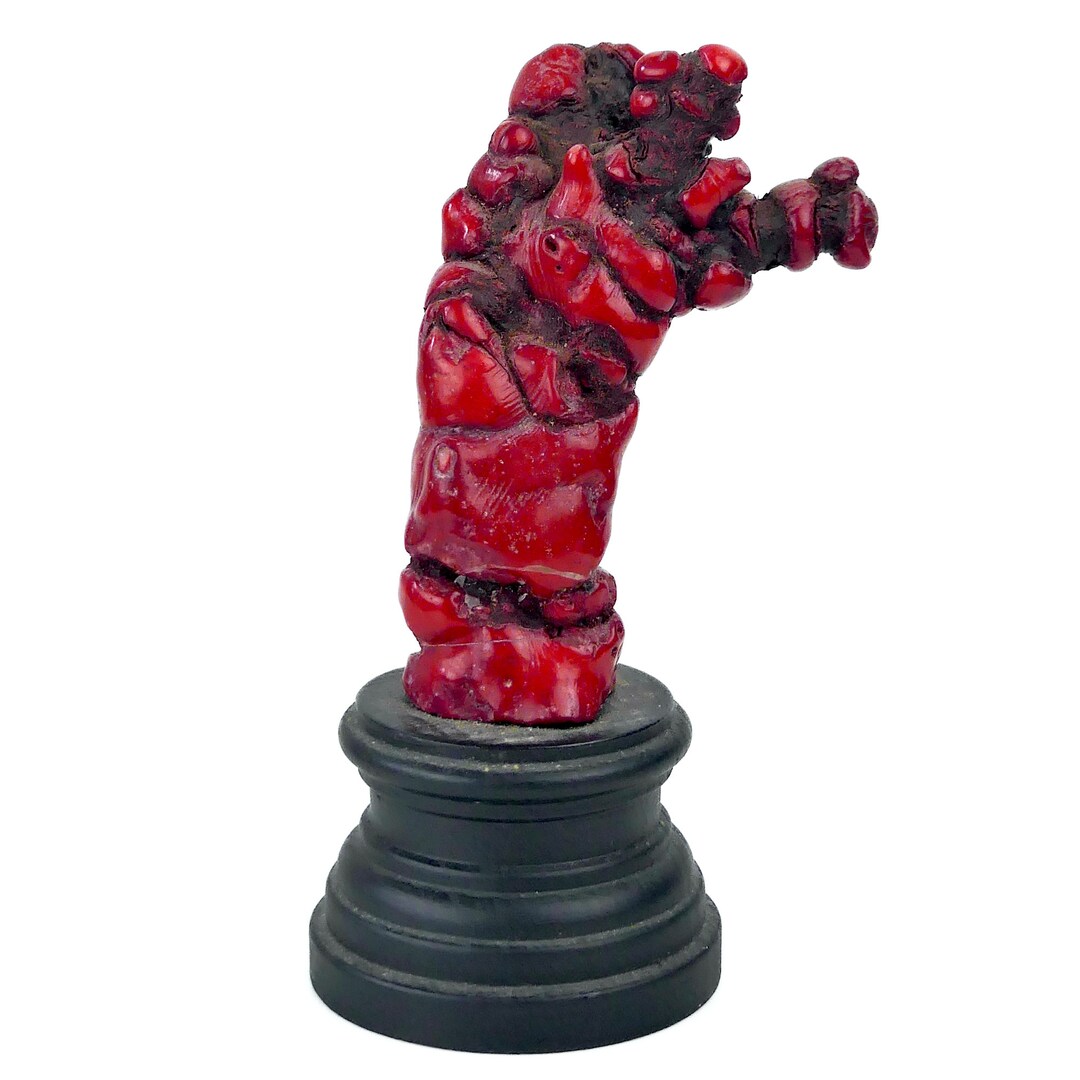 Old Red Coral Foot on Black Turned Wooden Base Curiosity of the Sea ...