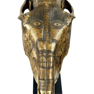 Chiseled Dayak Horse Skull on Black Metal Base - Indonesia - Ethnic ...