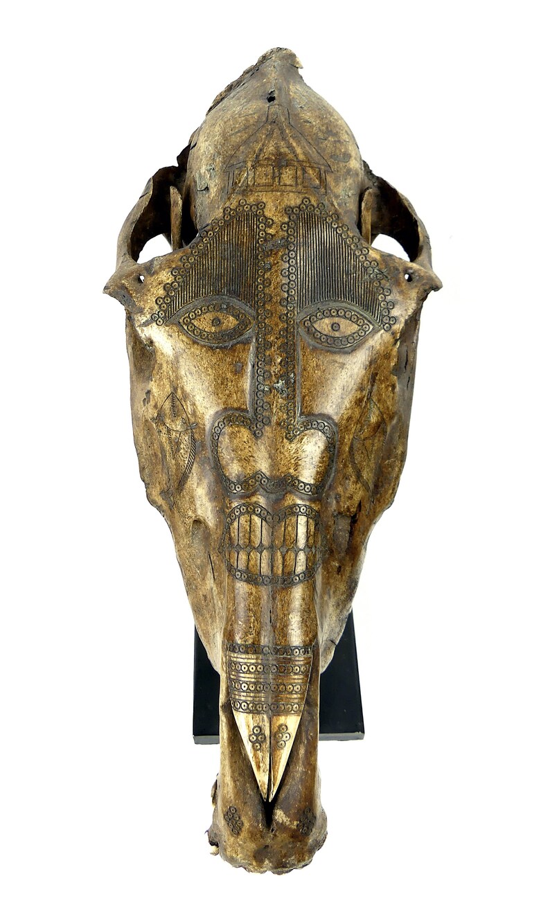 Chiseled Dayak Horse Skull on Black Metal Base - Indonesia - Ethnic ...