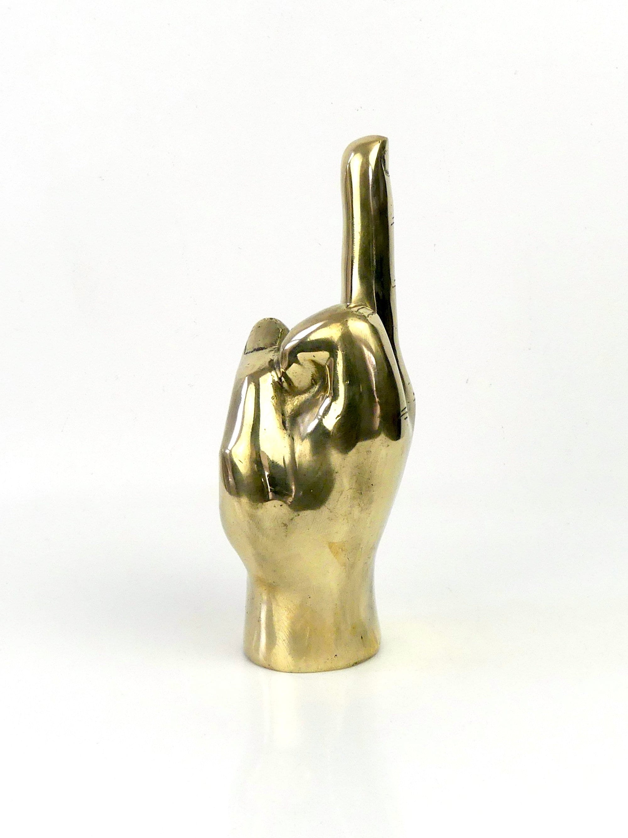 Raised Middle Finger _ Middle Finger Symbol – YNAK
