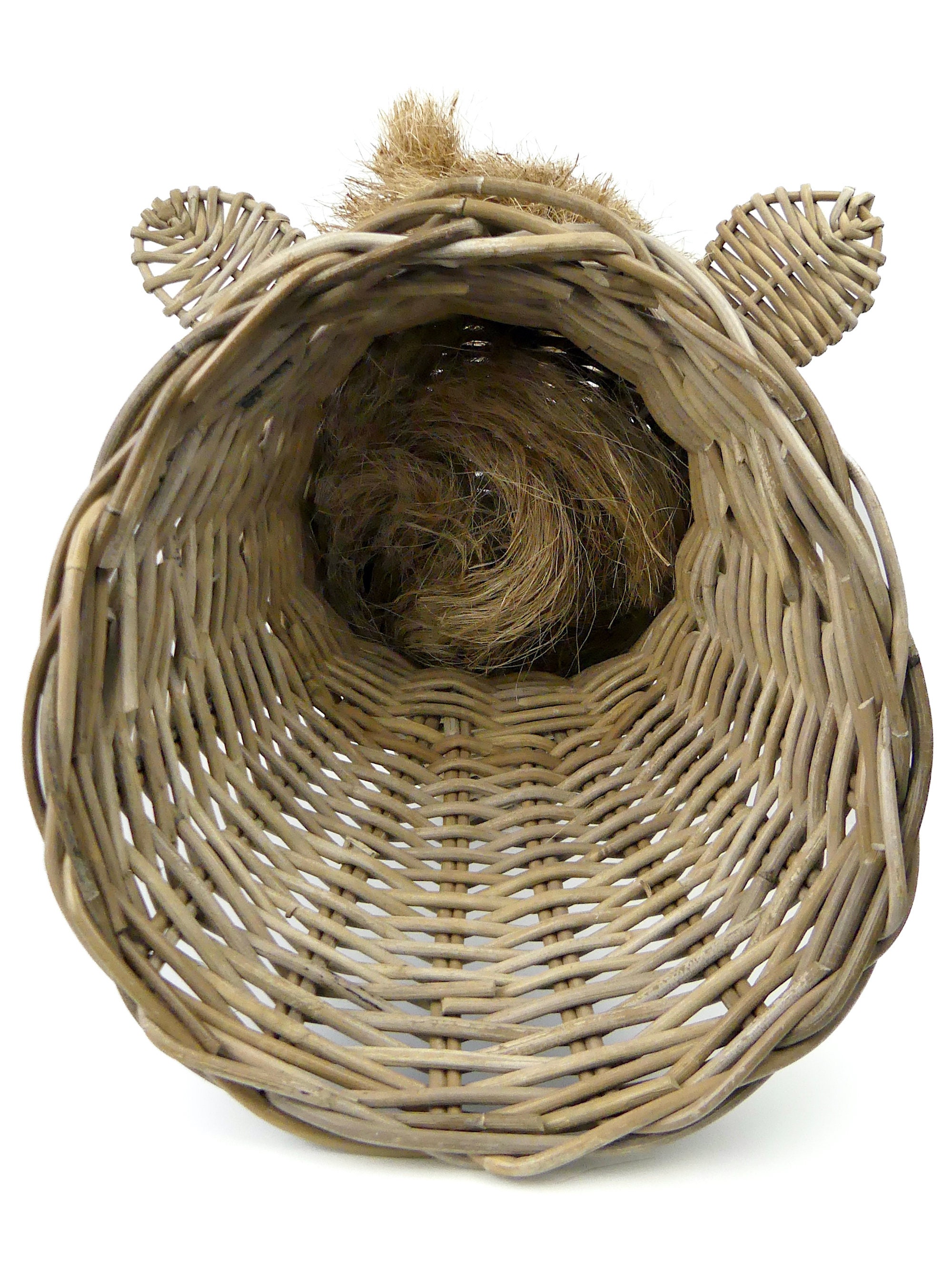 Zebra Head in Braided Natural Rattan - Vegetable Trophy - Late 20th ...