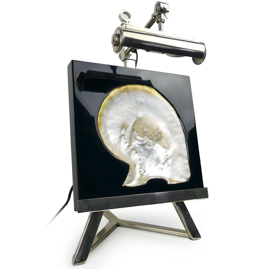 Large Pearl Oyster Shell Pinctada Maxima in Black Inclusion on ...