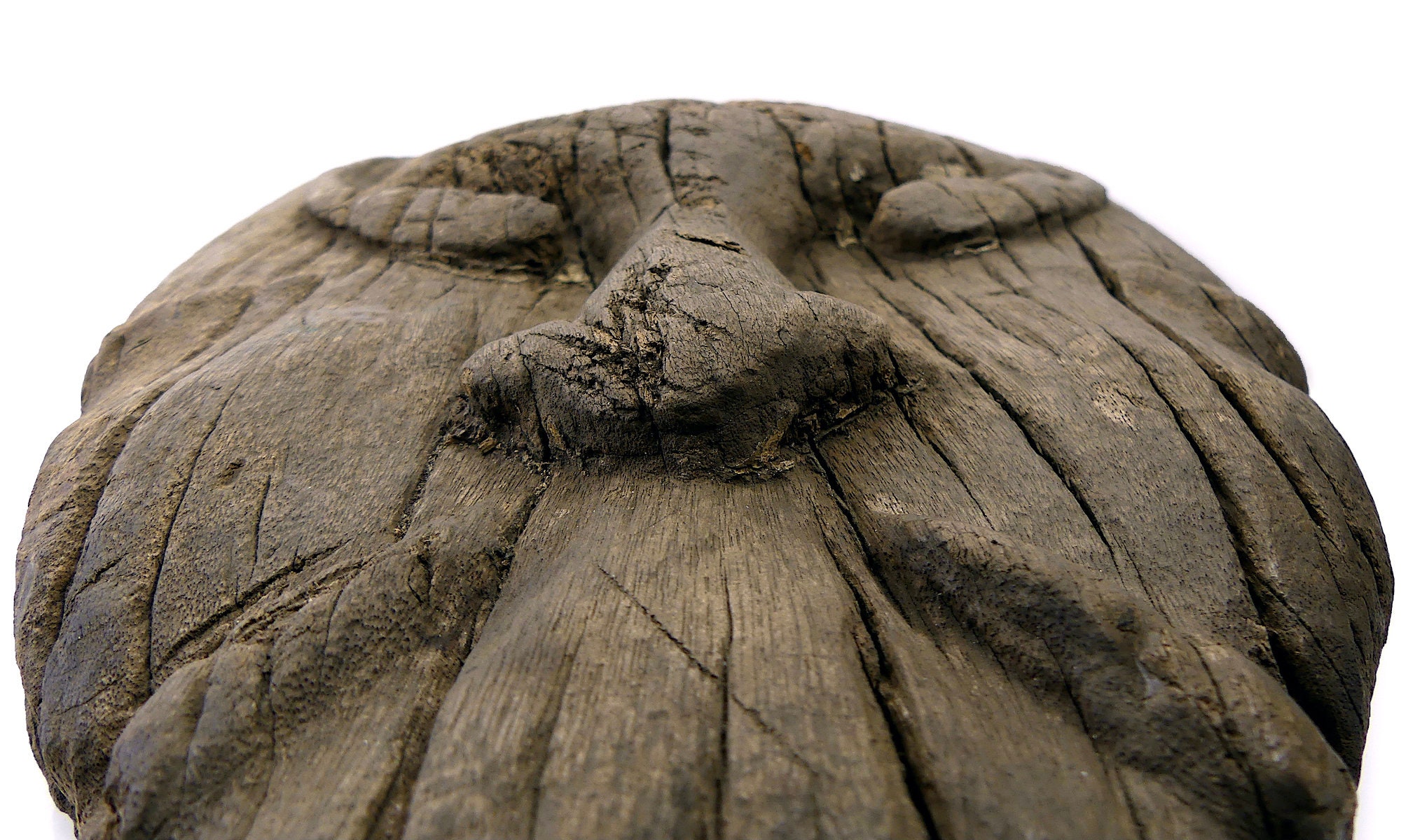 Garamut Sawos Tail Ethnic Curiosity Papua New Guinea | Etsy