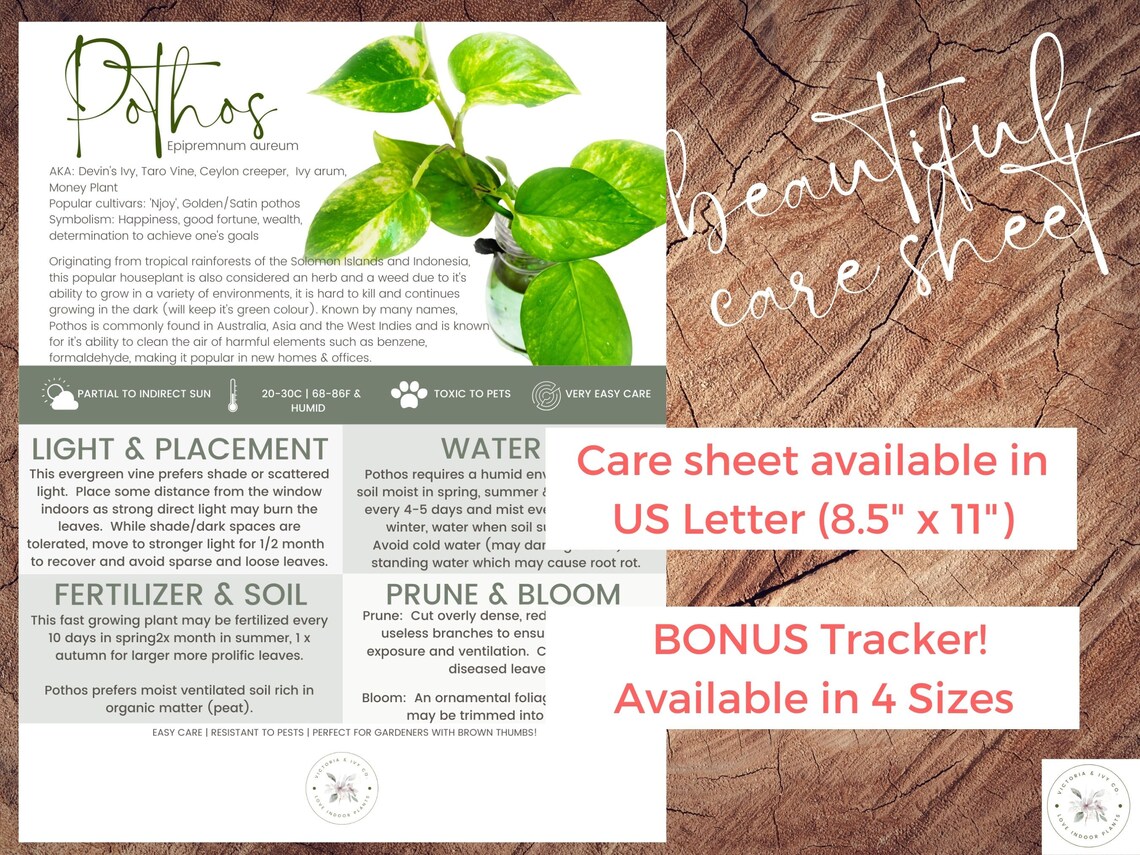Golden Pothos Plant Care Sheet & Tracker Bundle | Devil's Ivy | Plant Care Tracker | Plant Log ...
