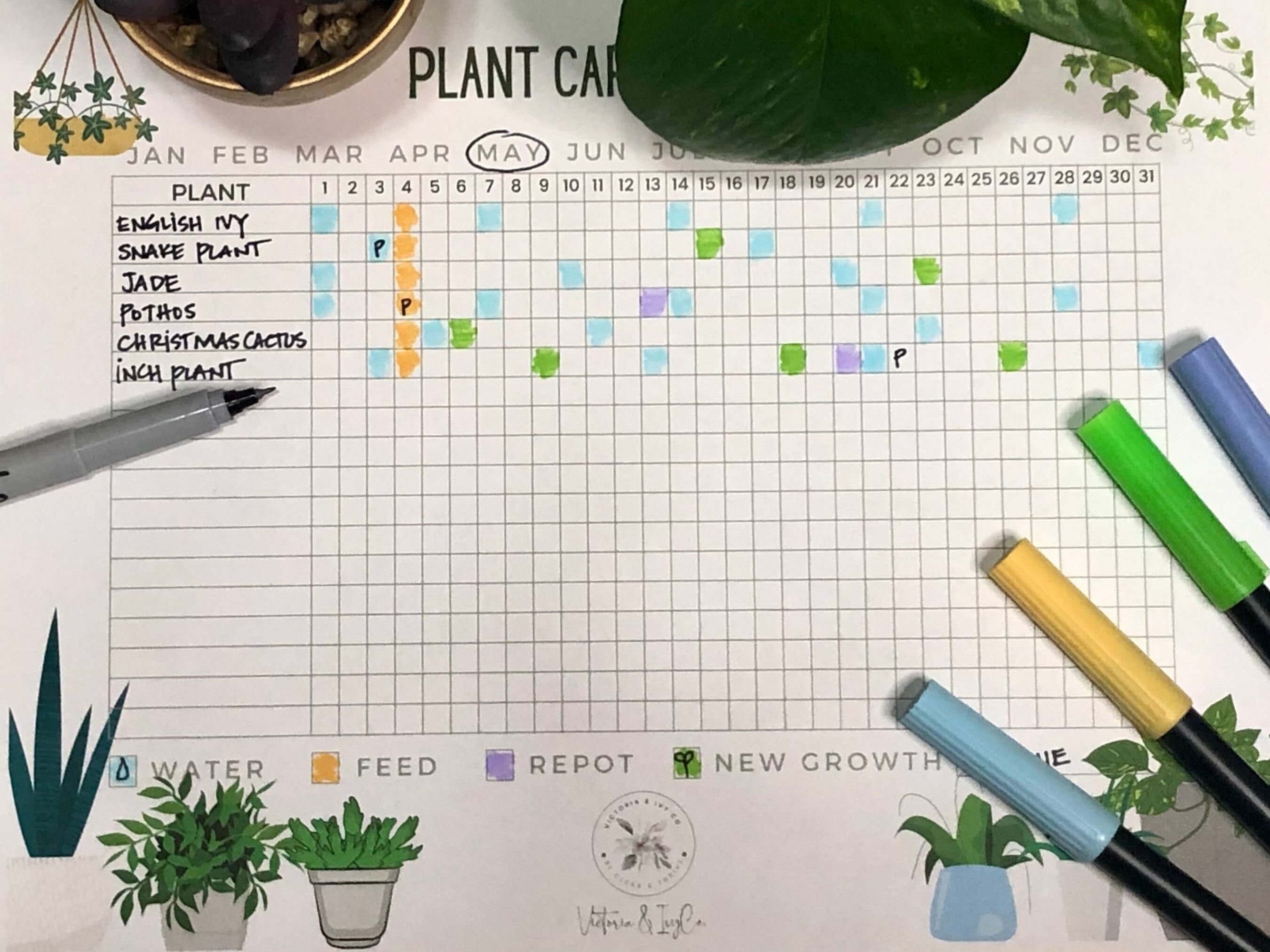 Golden Pothos Plant Care Sheet & Tracker Bundle | Devil's Ivy | Plant ...