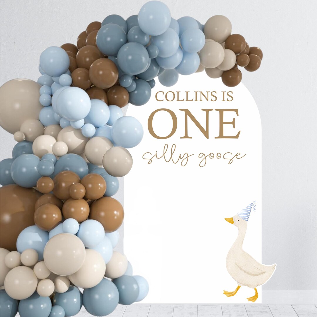One Silly Goose Birthday Decal - Happy Birthday Party Backdrop - One ...