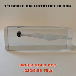 1/3 Scale FBI Clear Ballistics Gel Block - Bullet of Your Choice ...