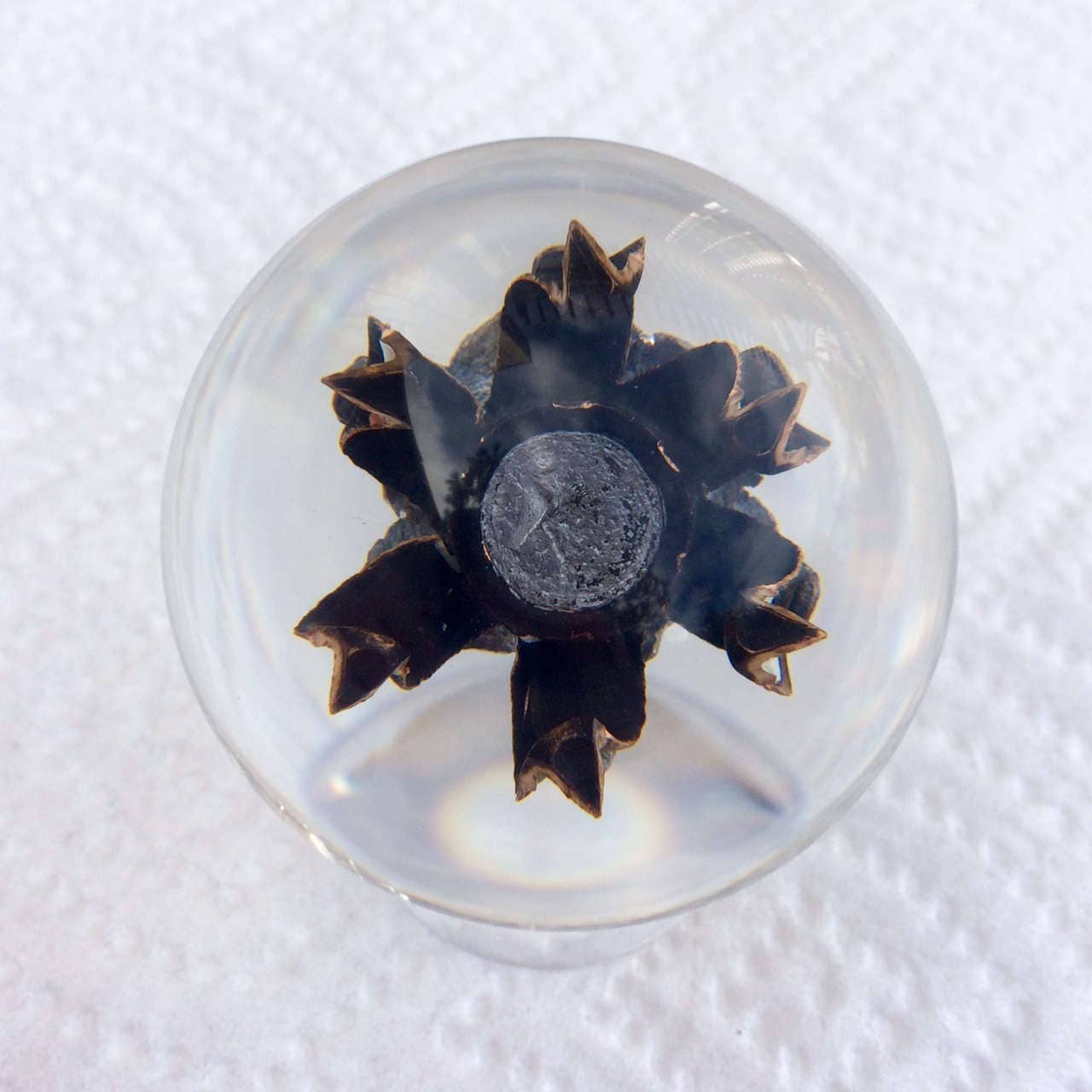 Winchester 10mm "black Talon" 200gr Law Enforcement Bullet - Fully ...