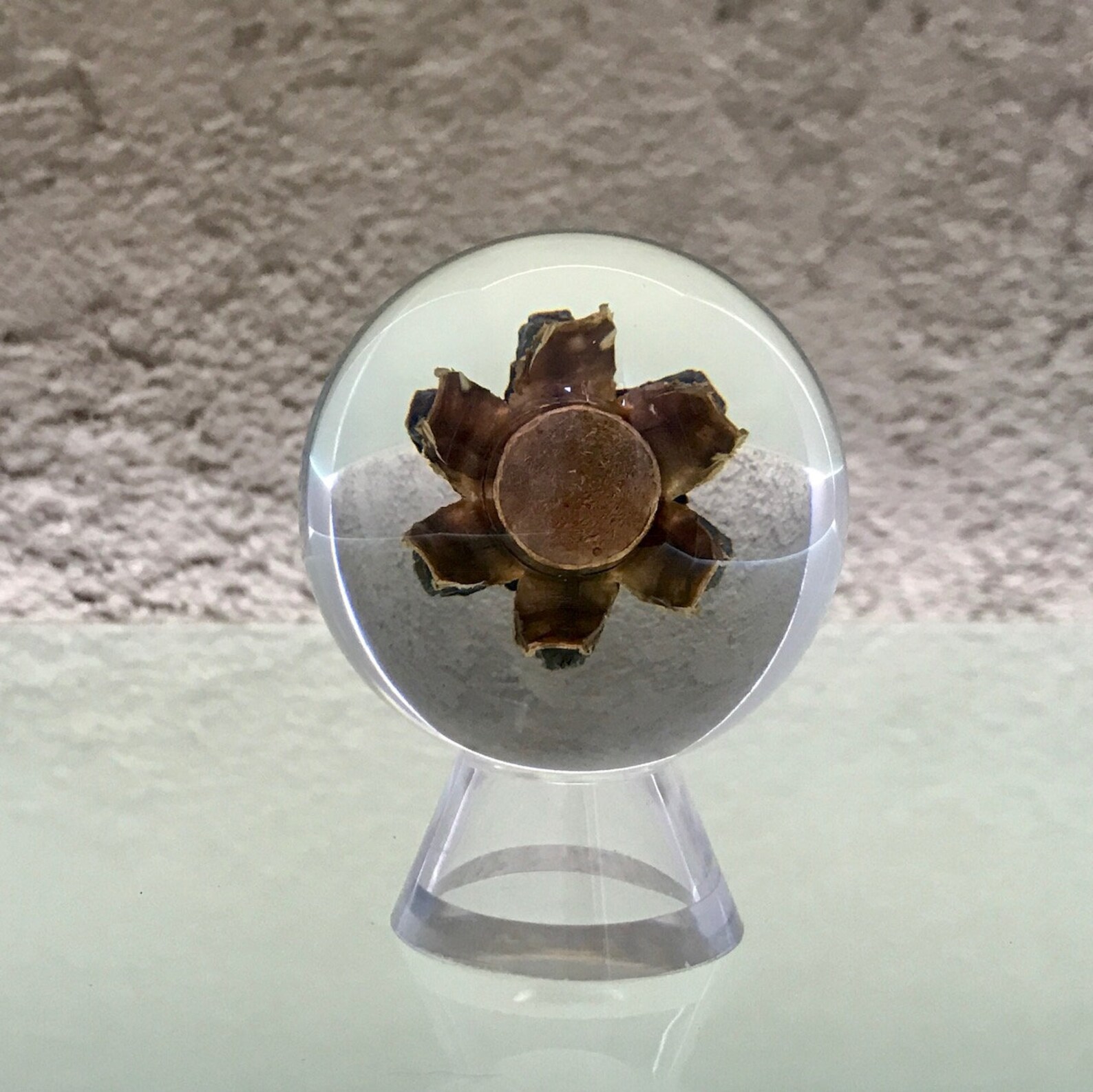 Federal .45ACP HST 230 Grain Bullet Encased in Resin Sphere - Etsy