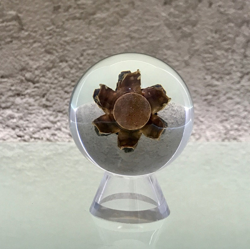 Federal .45ACP HST 230 Grain Bullet Encased in Resin Sphere - Etsy