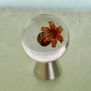 44 Magnum Corbon DPX 225 Grain Bullet Encased in Resin Sphere Clear ...