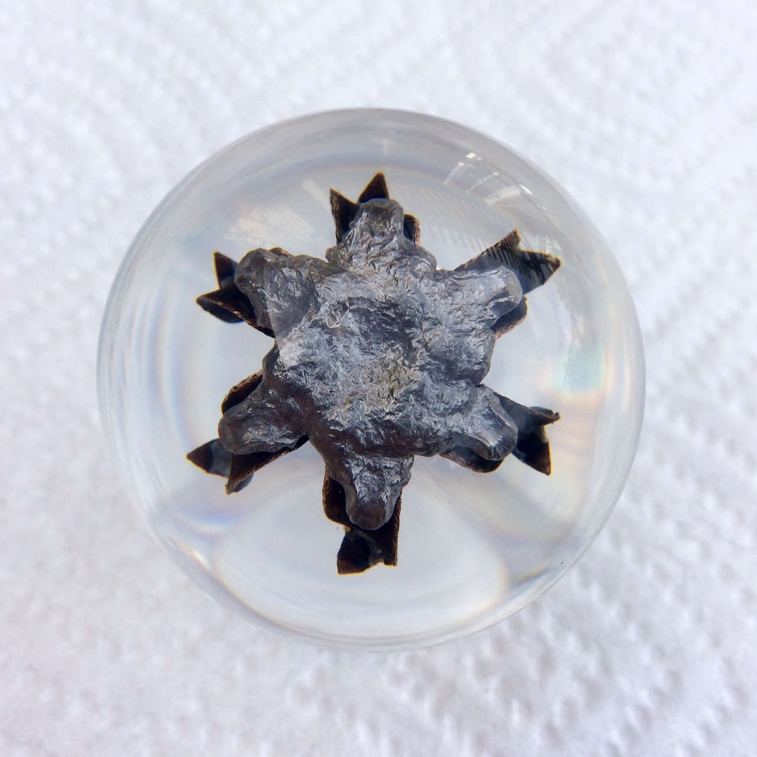 Winchester 10mm "black Talon" 200gr Law Enforcement Bullet - Fully ...