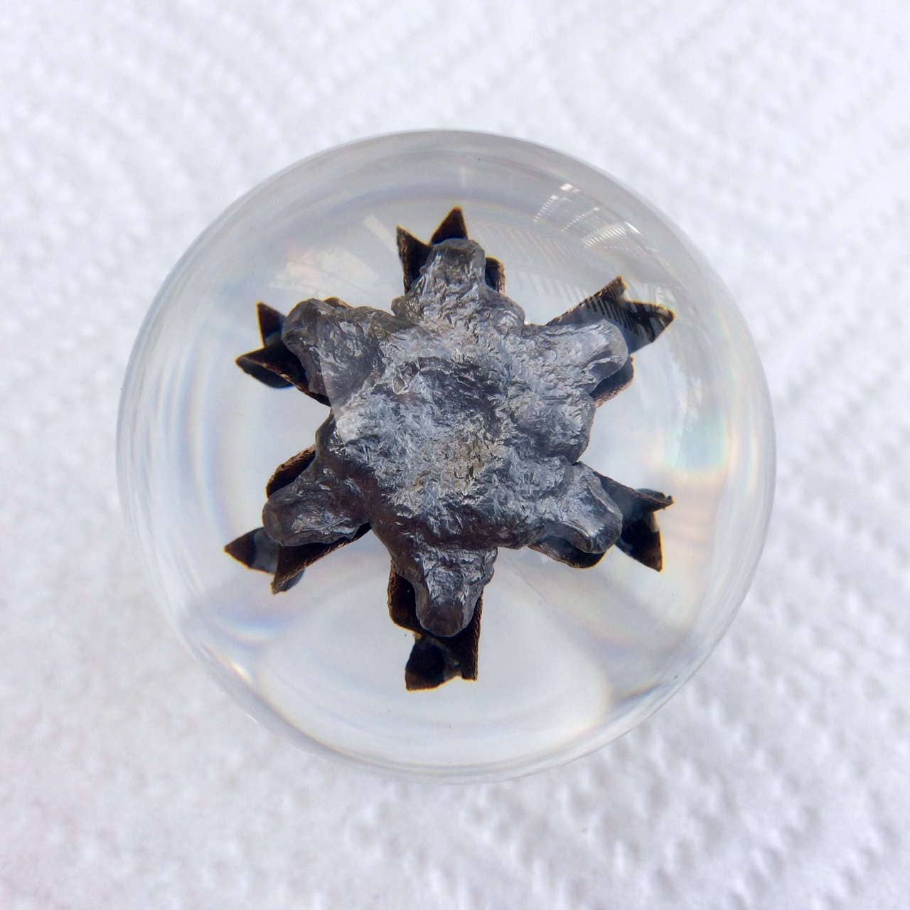 Winchester 10mm "black Talon" 200gr Law Enforcement Bullet - Fully ...