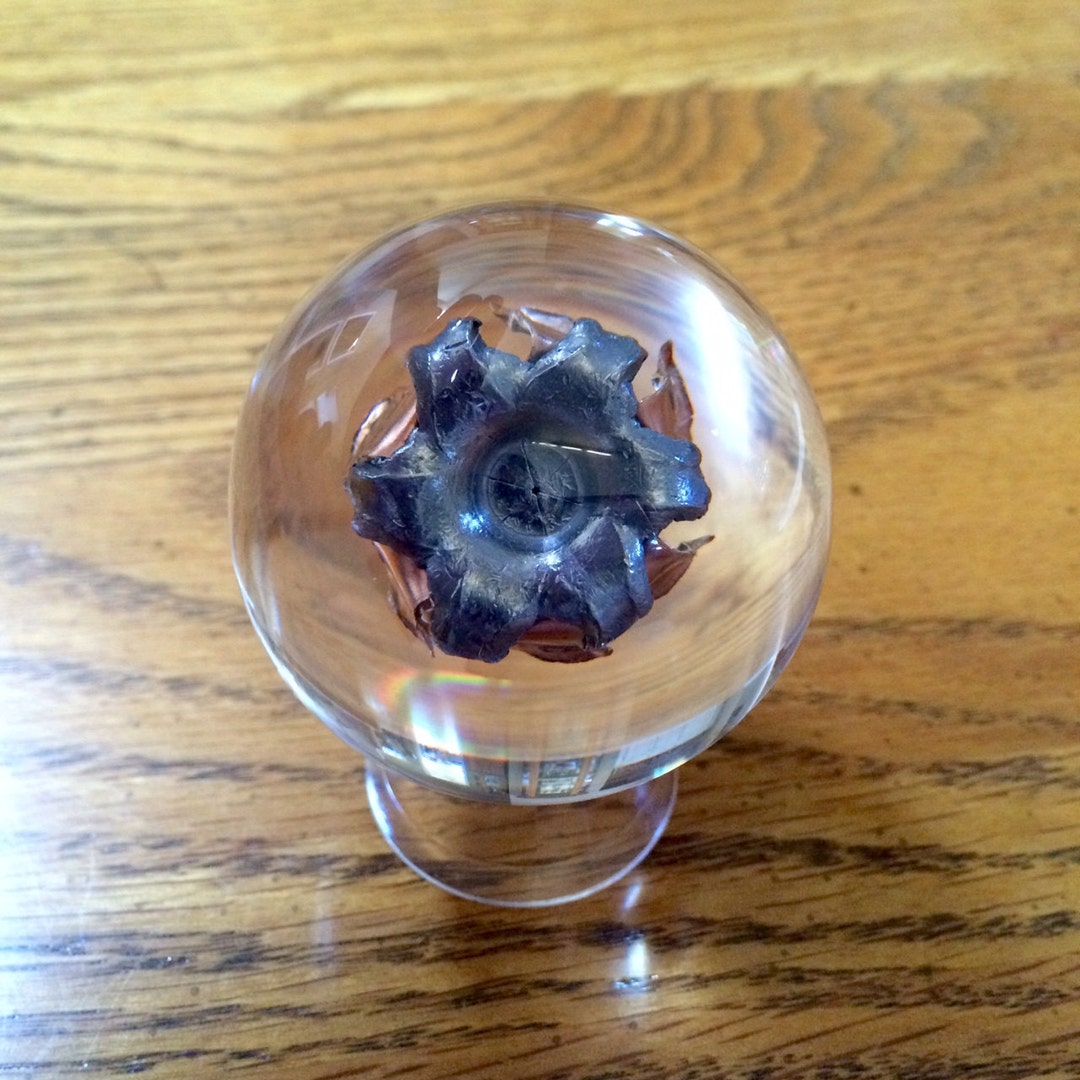 Hornady .45ACP Critical Duty 220 Grain +P Bullet - Encased in Resin ...