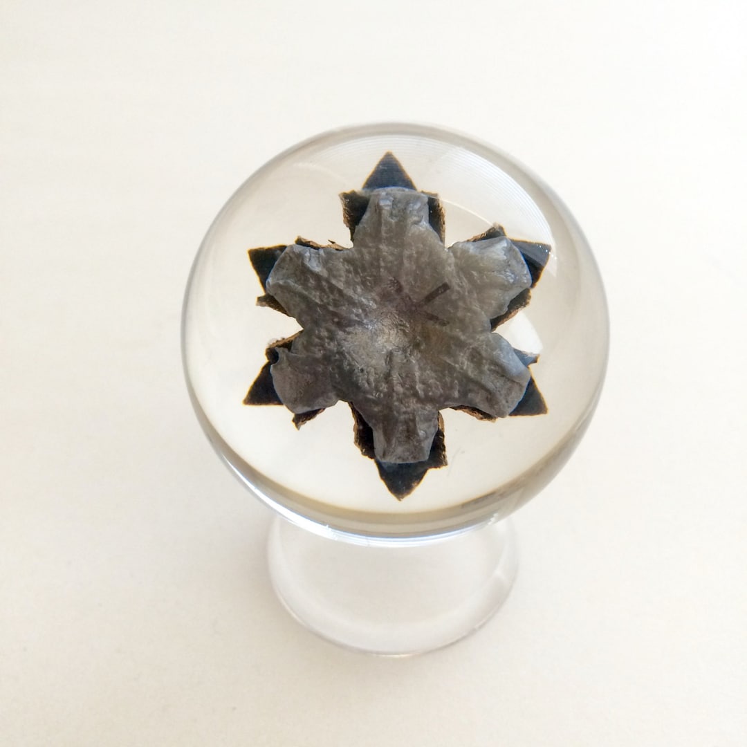 LIMITED RUN OF 10 Winchester Black Talon .44 Magnum 250gr Bullet Fully ...