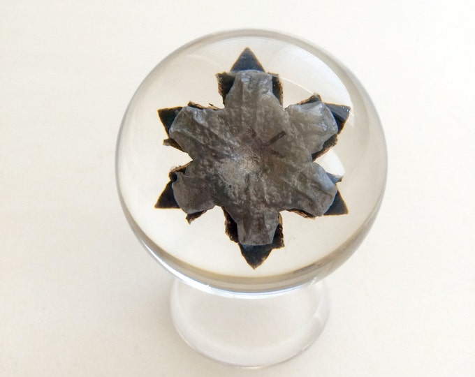 Winchester black Talon 9mm 127gr P Law Enforcement Bullet Fully ...