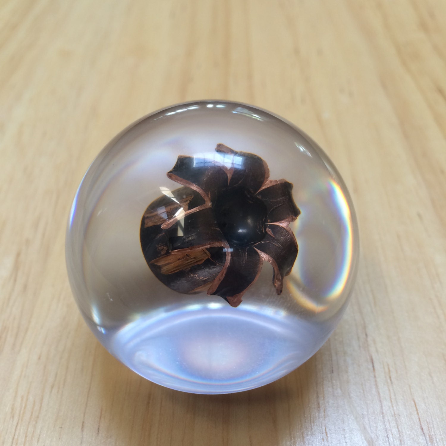 Barnes .45ACP 185 Grain TAC-XPD Solid Copper Hollow Point - Etsy