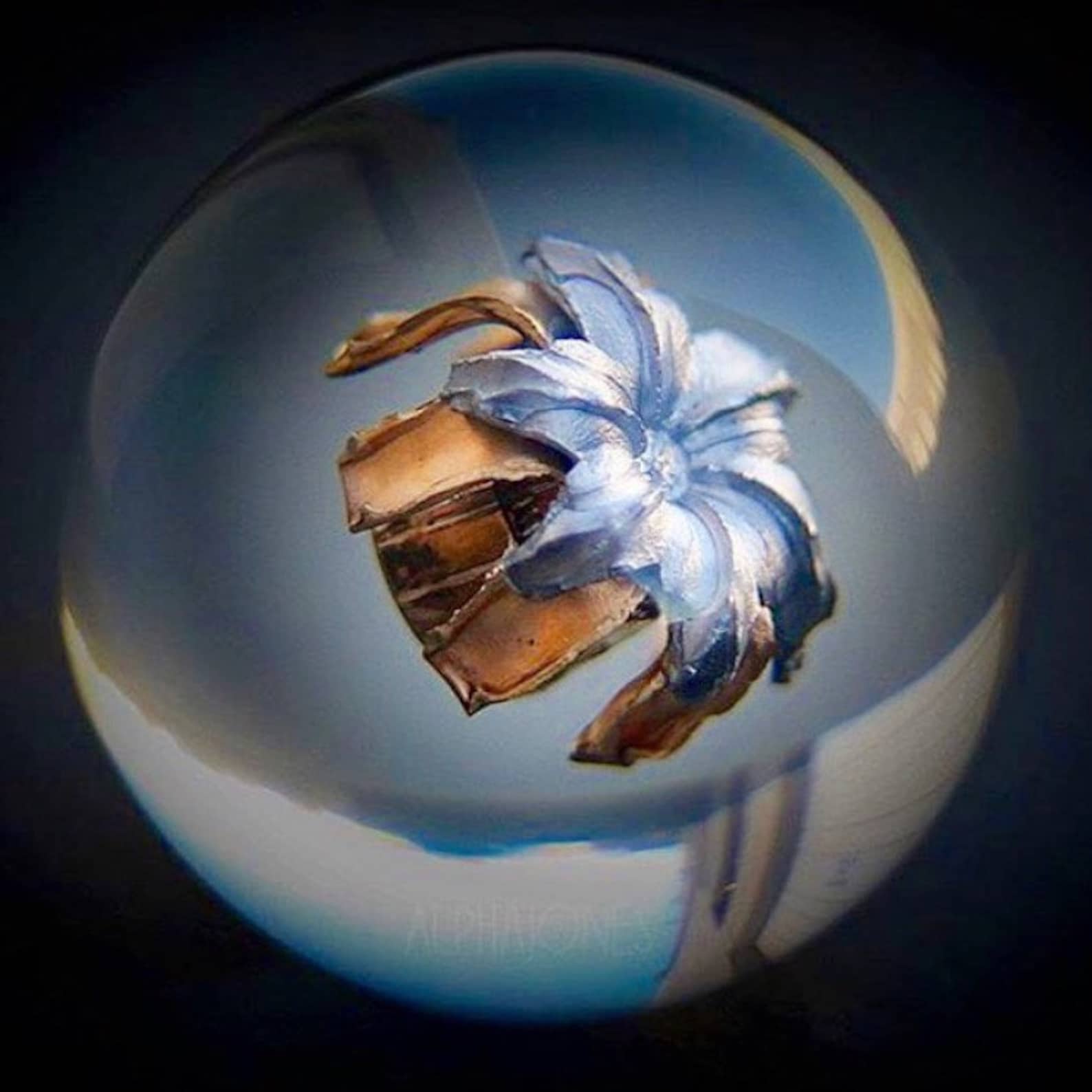 Federal 9mm HST 124 Grain +P Bullet - Encased in Resin Sphere - Clear ...