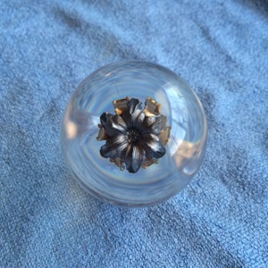 9mm Federal HST "micro" 150 Grain Bullet - Encased in Resin Sphere ...