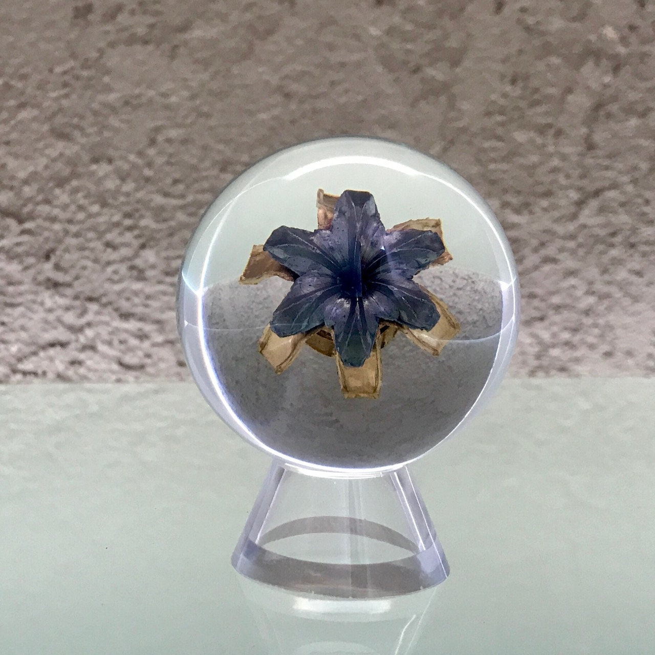 Federal .45ACP HST 230 Grain Bullet - Encased in Resin Sphere - Clear ...