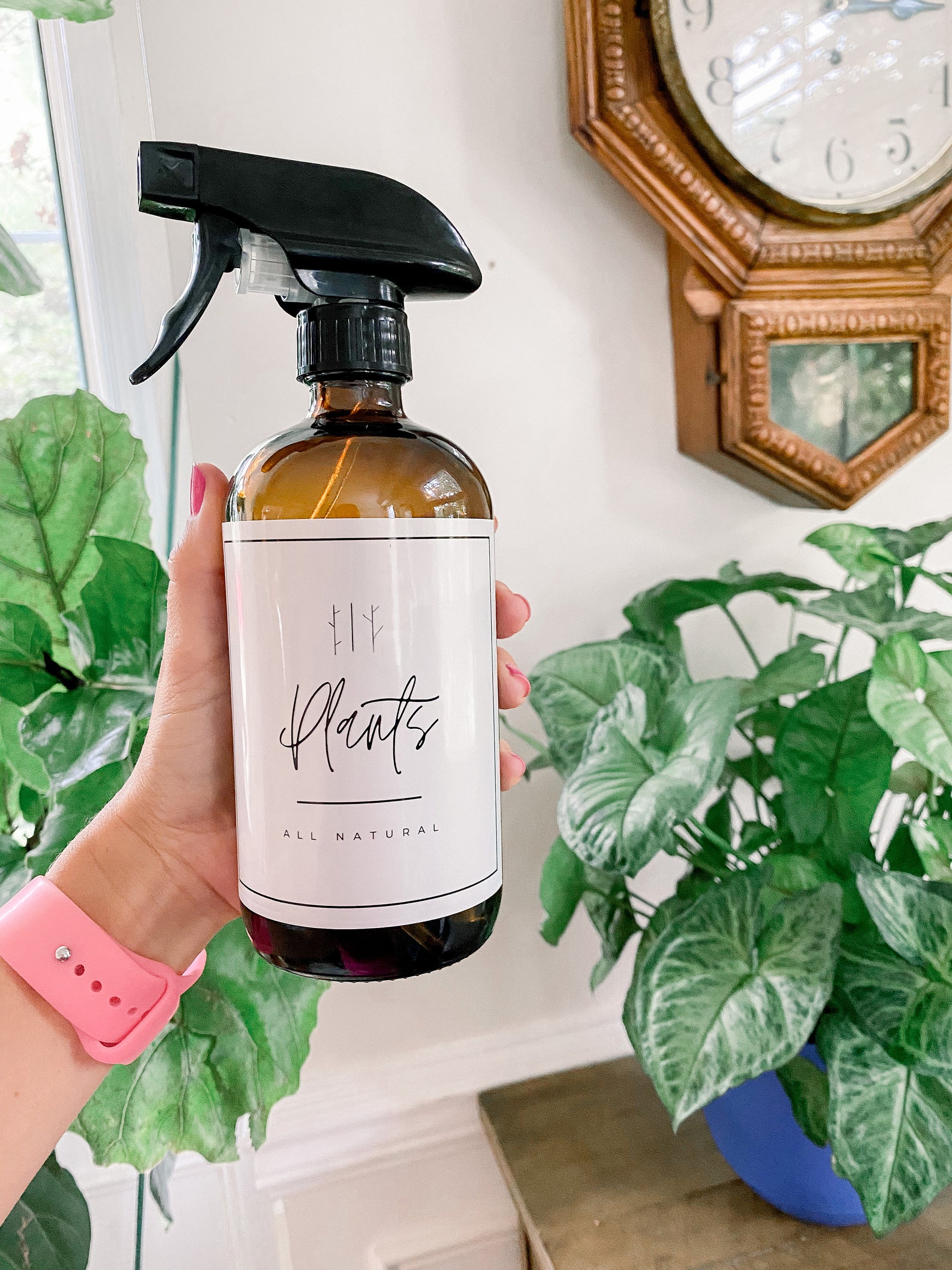 Plant Spray Label Suite- Thieves, Bathroom, Plants, Glass, Bath Salts ...